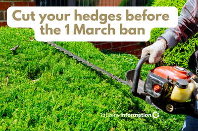 Cut your hedges before the ban on 1 March